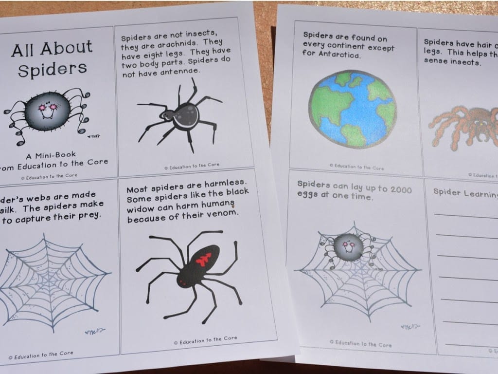 Spiders FREE Mini-Book and Writing Reflection - Education to the Core