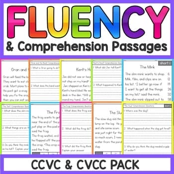 CCVC and CVCC Reading Comprehension Passages | Education to the Core