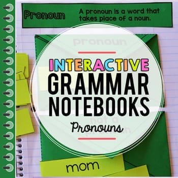 Pronouns Interactive Notebook | Education to the Core