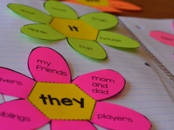 Pronouns Interactive Notebook | Education to the Core
