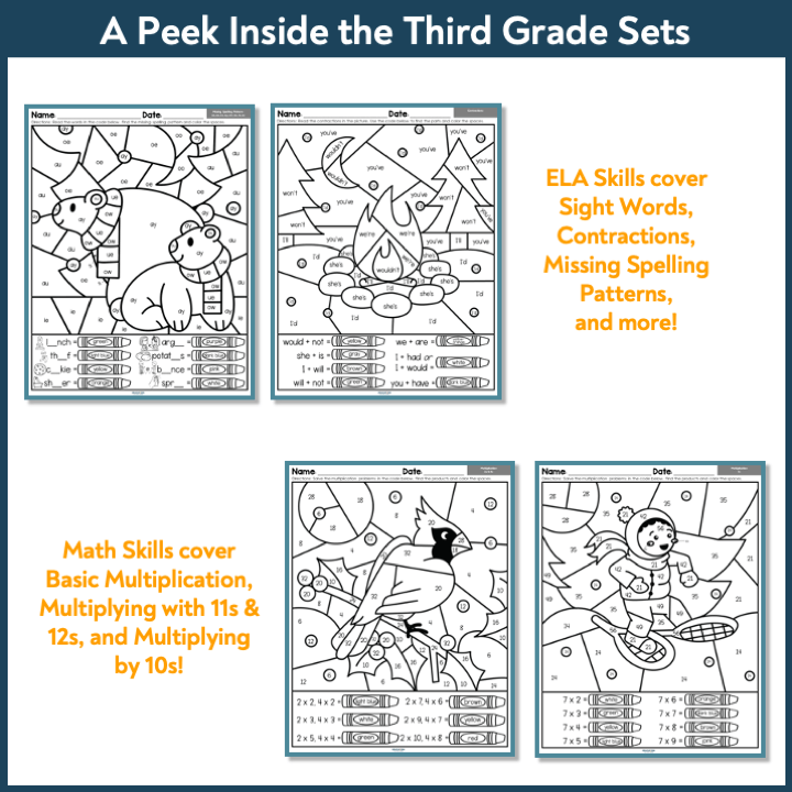 Winter Color by Number | Fun Worksheets for 2nd & 3rd Grade