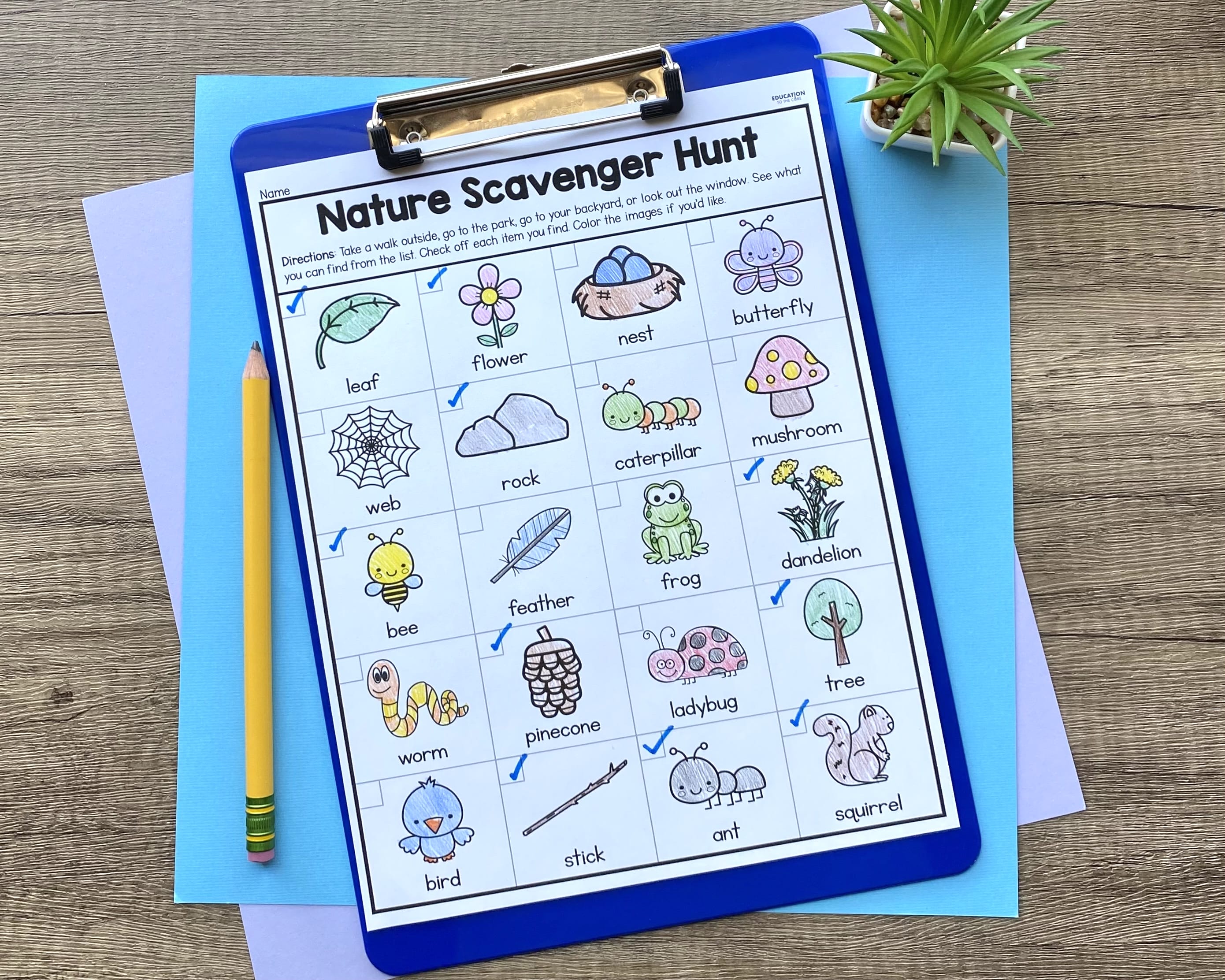 20 Summer Activities for Primary Students | Education to the Core